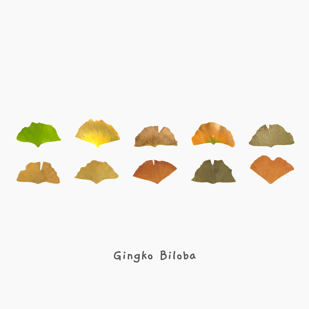 Fall Leaves Masking Sticker Roll | Kawaii Pen Shop