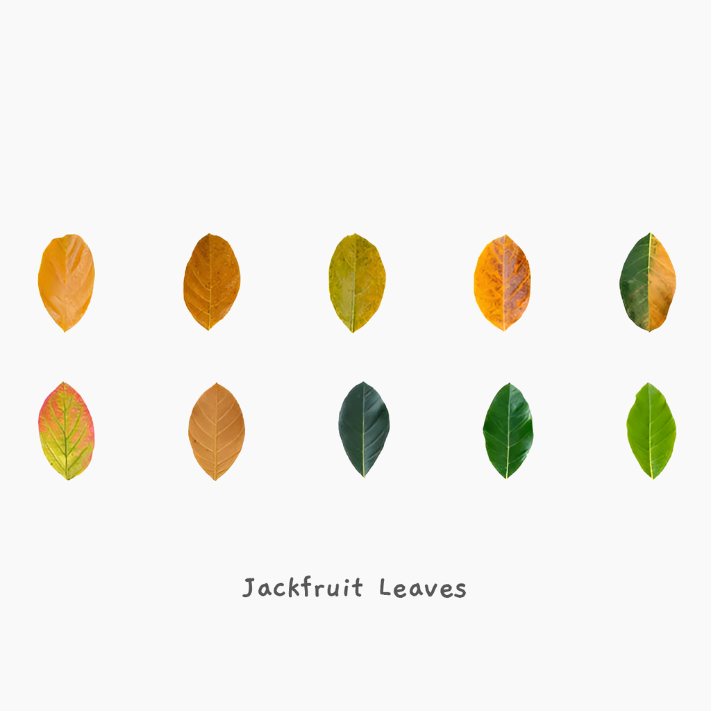 Fall Leaves Masking Sticker Roll | Kawaii Pen Shop