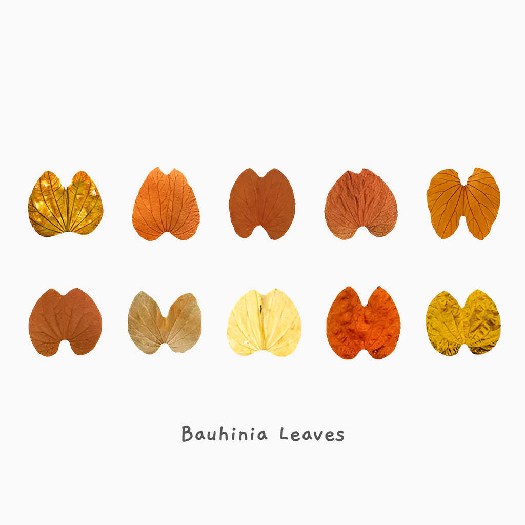 Fall Leaves Masking Sticker Roll | Kawaii Pen Shop